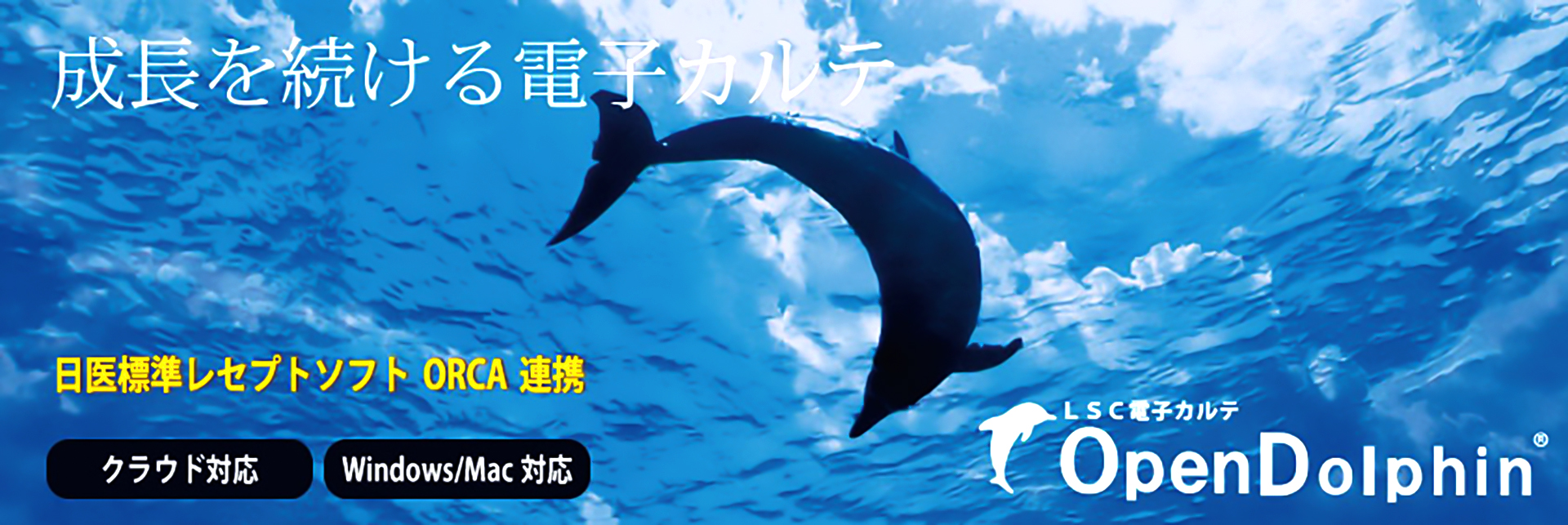 ライフサイエンス コンピューティング株式会社 | LSC